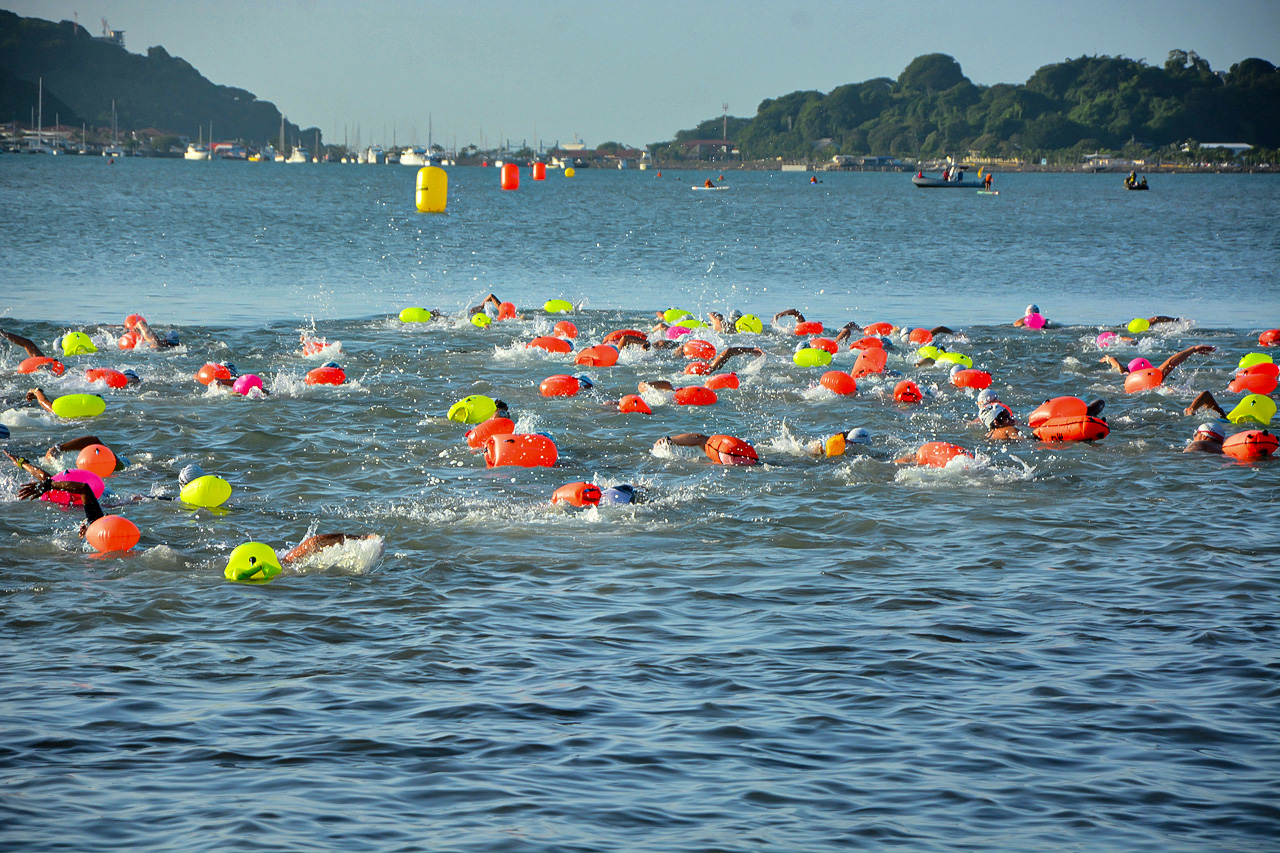 Benefits of Open Water Swimming: Insights from Two-Time Olympian Allen ...
