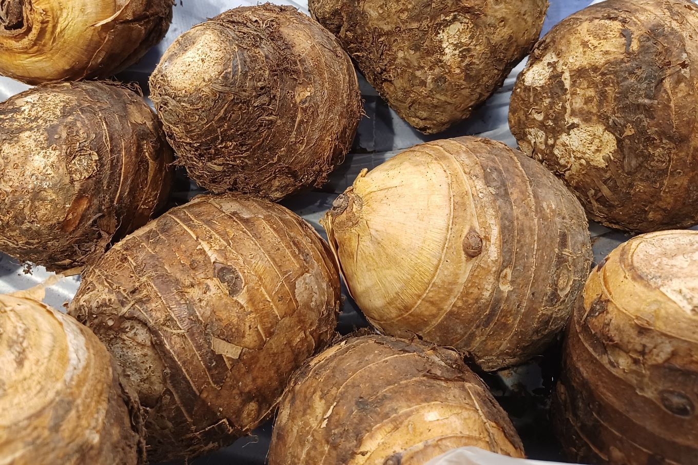 Taro, the Superfood Secret Weapon for Runners & Cyclists - SportsWorld ...