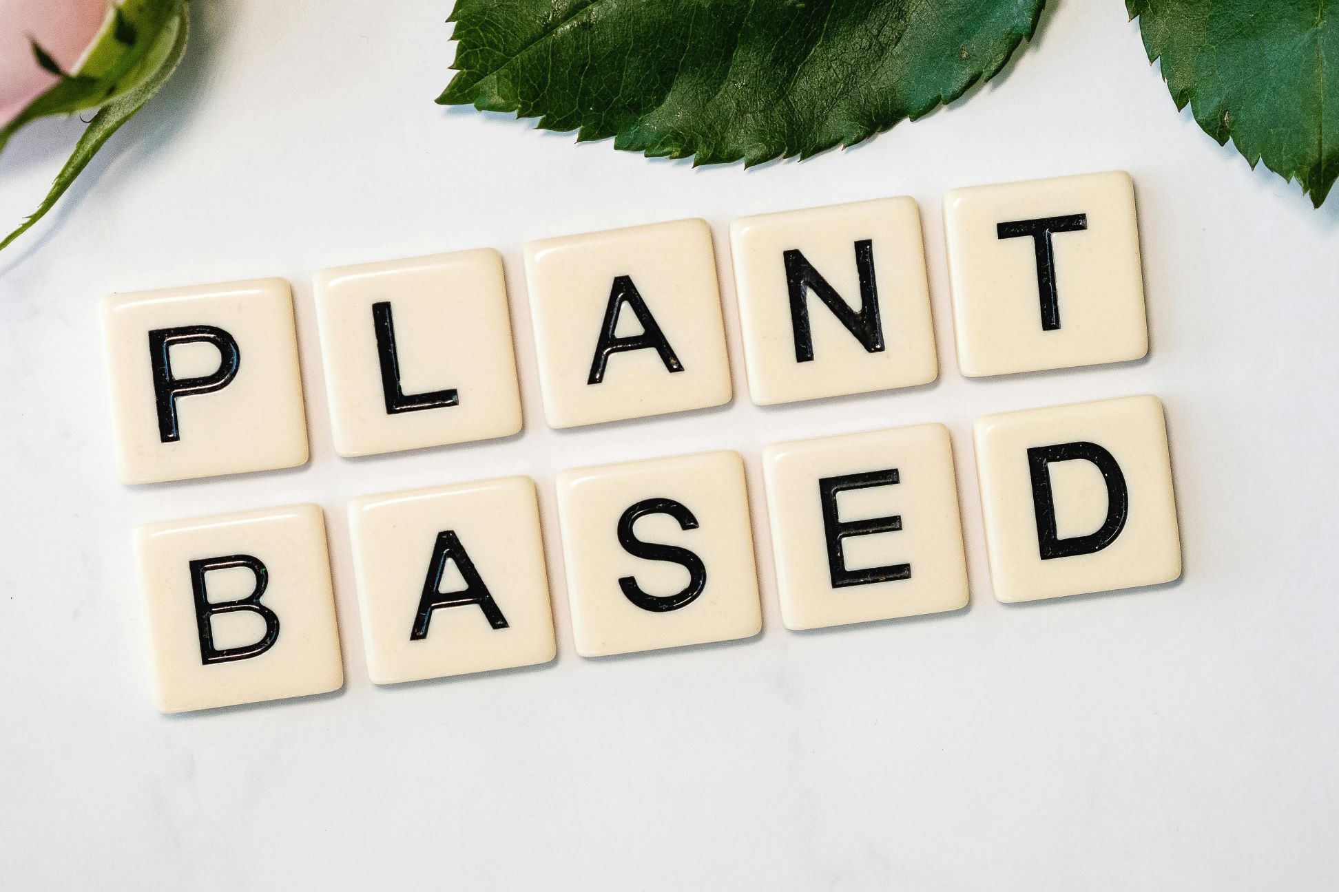 A Guide to the Plant-Powered Athlete - SportsWorld Malaysia